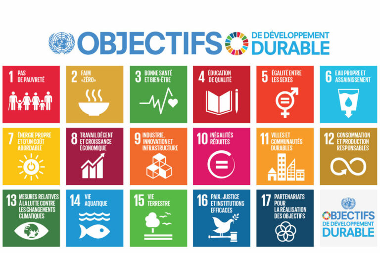 17 objectifs pour changer le monde : Les ODD de l’ONU expliqués – FG en ...